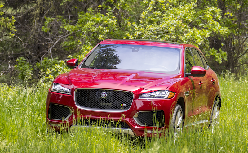 Watch a 2017 Jaguar F-Pace Frolick in a Mountain Meadow in this TFLcar ...