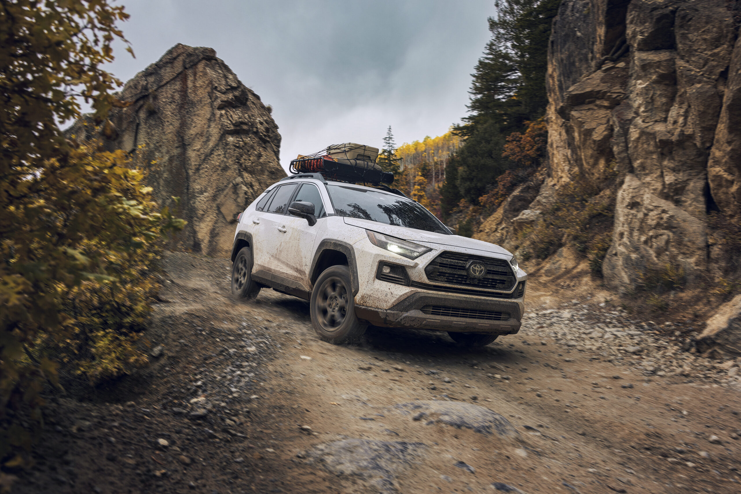 These Are the Best and Worst-Selling Cars of 2024 (So Far) - TFLcar